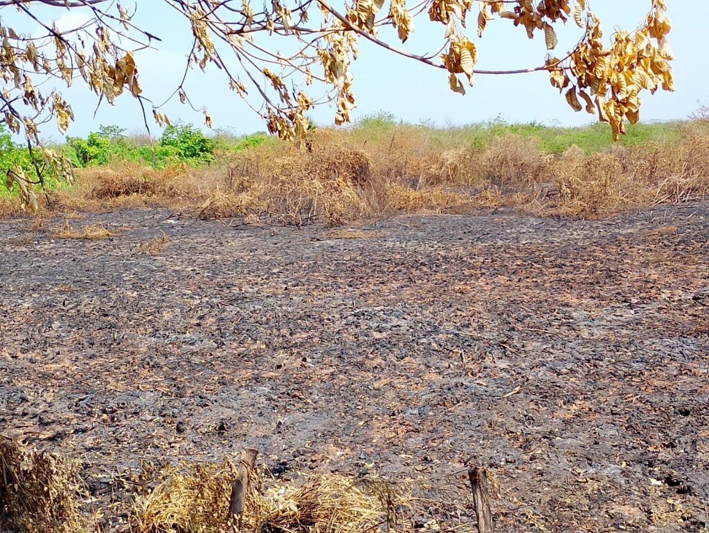 Barranquilla activa plan preventivo ante temporada de huracanes y ...